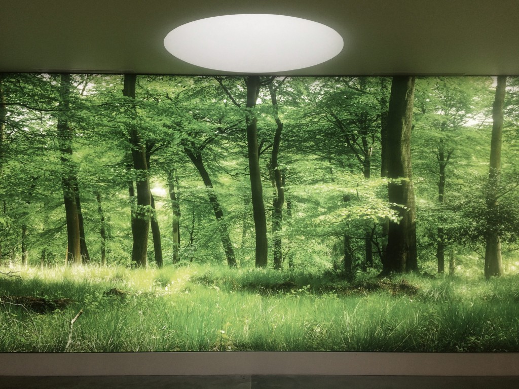 Martin Edwards architects — Ben Hunter Gallery, 2020 / 2022