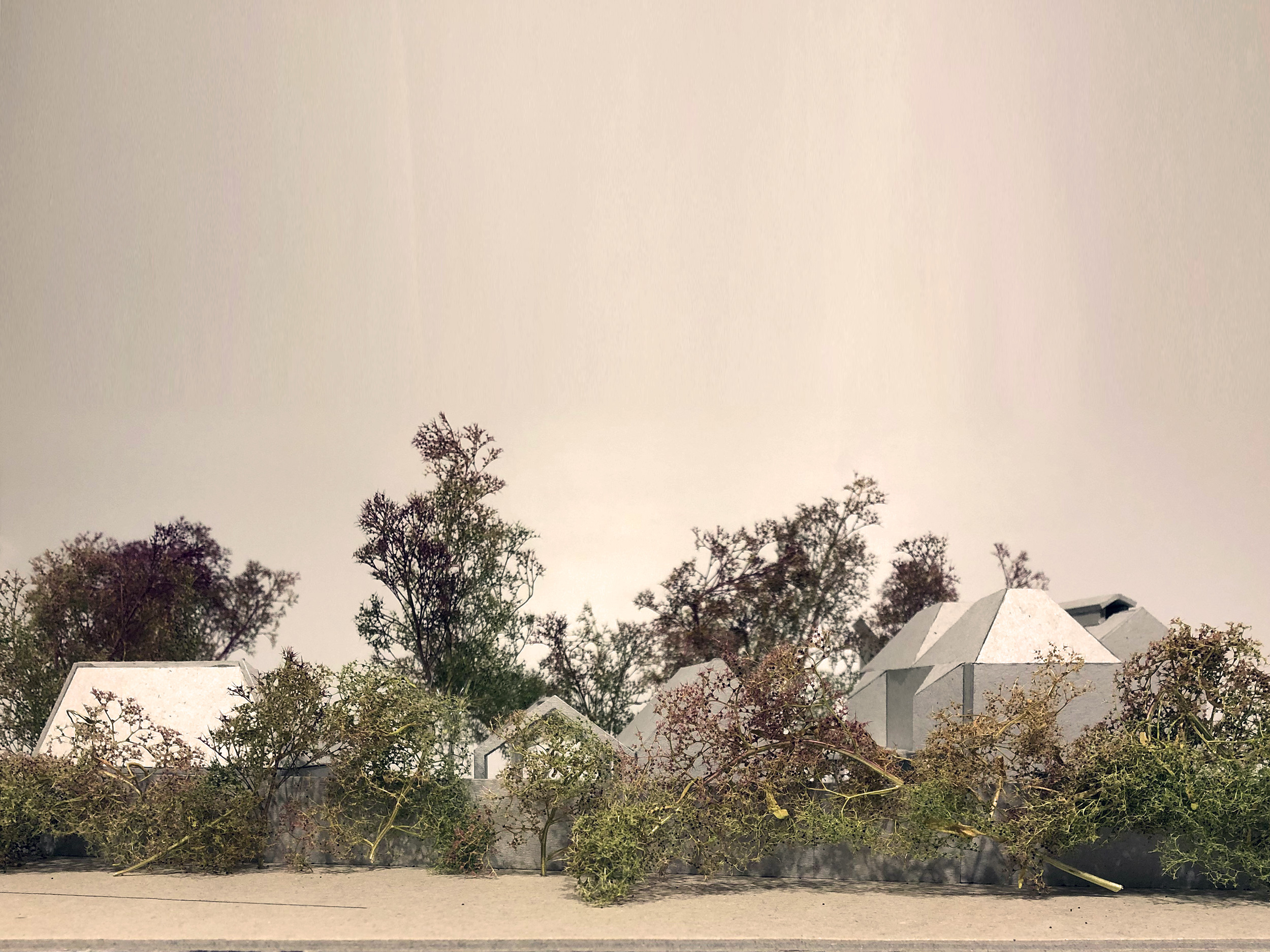 Martin Edwards architects — Hopper House, 2020